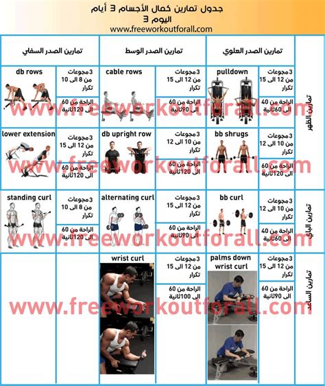 جدول تمارين كمال الأجسام 3 أيام Gym Workouts 3 Day Workout Workout