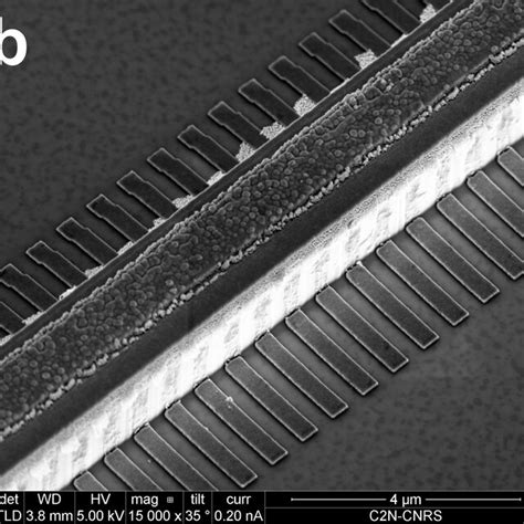 Sem Pictures Of Fabricated Dfb Lasers A Ic Dfb With 3 Rd Order Download Scientific Diagram