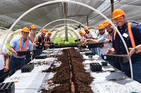 Grupo Nativa Un Modelo De Manejo Forestal Sostenible Empresarial