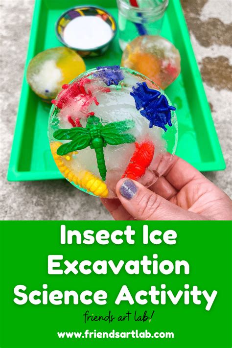 Frozen Bug Cubes Insect Ice Excavation Science Activity