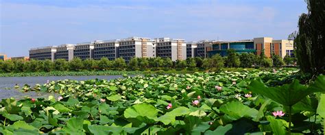 校友工作与社会合作处