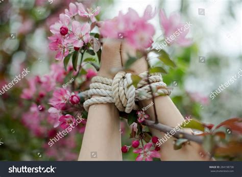 Girls Hands Tied Up In Japanese Style Of Bondage Or Bdsm Shibari
