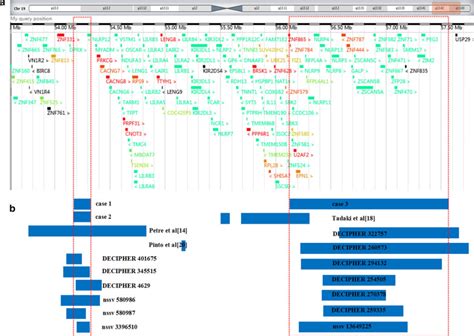 Prenatal Detection And Molecular Cytogenetic Characterization Of 19q1342 Microduplication