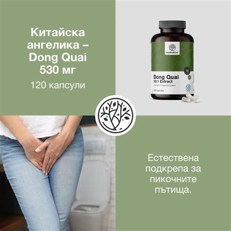 Китайска ангелика Dong Quai 530 мг 120 капсули HealthyWorld bg