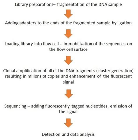 Schematically Presented Stages Of Next Generation Sequencing NGS Download Scientific Diagram