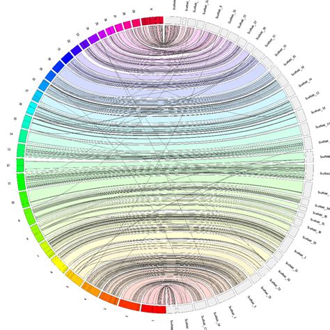 Jupiter Consistency Plot Showing Genome Alignment Between The Reindeer