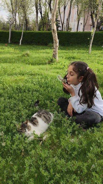 اسيل والقطة 😁🐱🐱 Shorts Youtube
