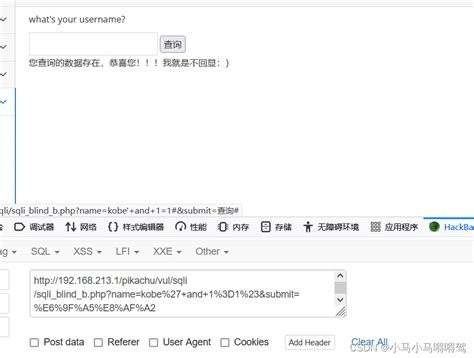 Pikachu Sql 注入（盲注）pikachu盲注 Csdn博客