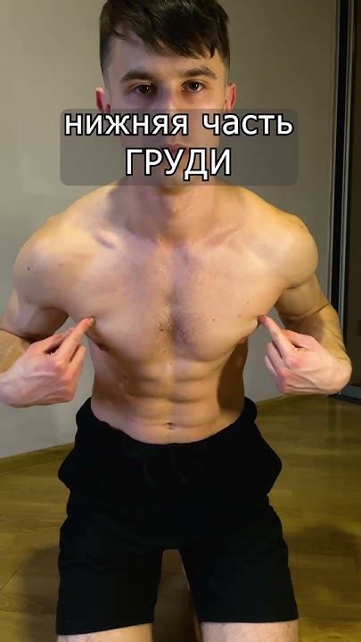 Виды ОТЖИМАНИЙ Отличная тренировка на грудь для начинающих Youtube
