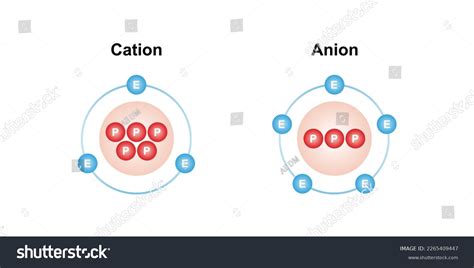 Scientific Designing Difference Between Cation Anion Stock Vector