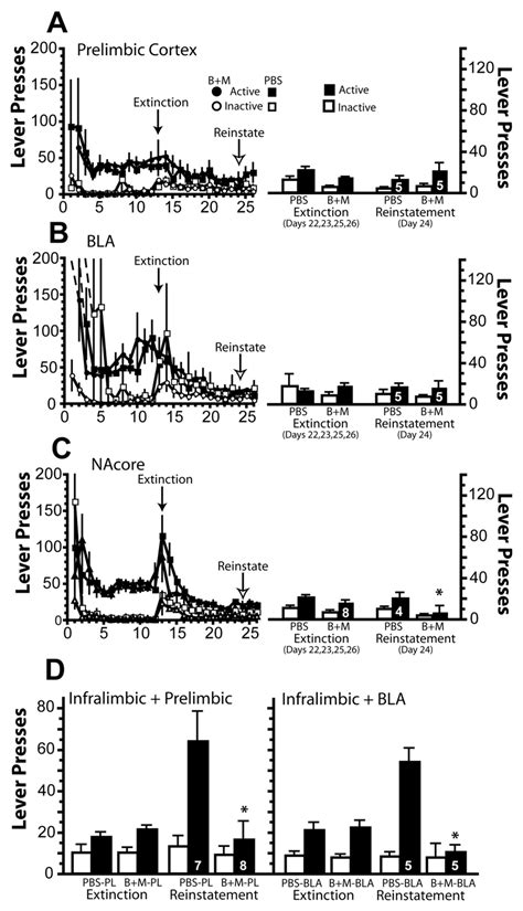 Inactivation Of Prelimbic Cortex Bla Or Nacore Did Not Reinstate