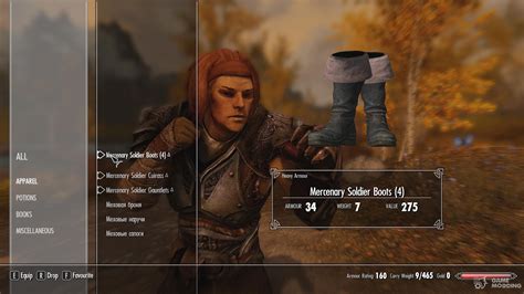 How To Become A Mercenary In Skyrim Panelswit