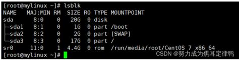 Linux磁盘分区挂载 含实例 阿里云开发者社区