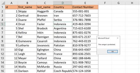 How To Protect Sheet But Allow Data Entry In Excel Sheetaki