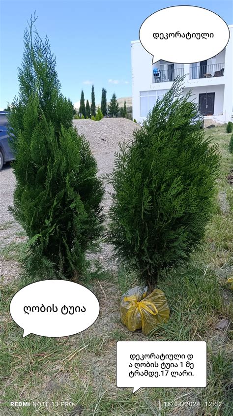 სანერგე მეურნეობა Added A New Photo სანერგე მეურნეობა