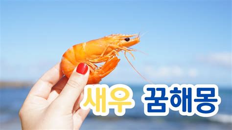새우 꿈해몽~ 꿈속의 새우는 어떤 의미 Youtube