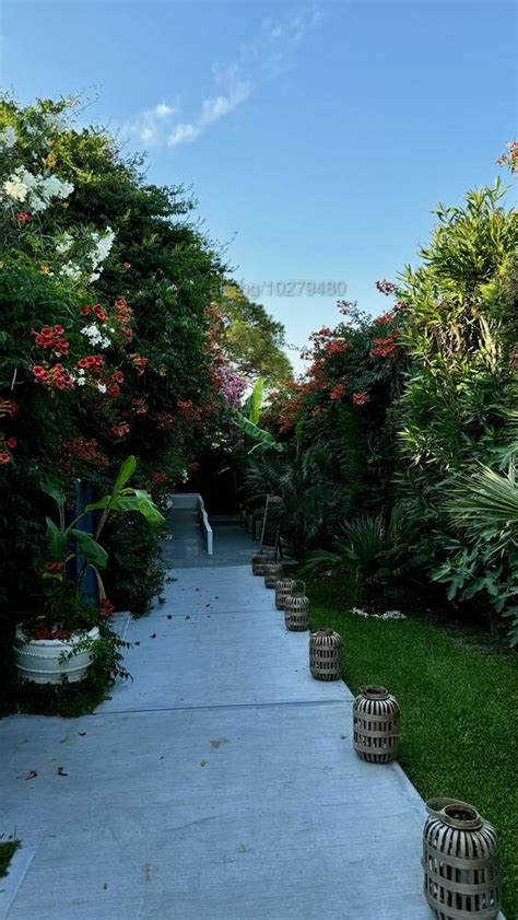 Млада и сериозна Мъж търси жена за секс София Общувам само с красиви интелигентни и а