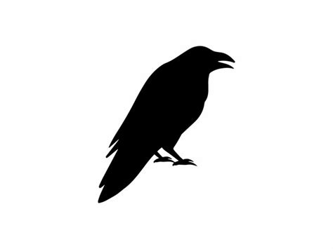 Corvo Assustador Halloween Preto E Branco Vetor Premium
