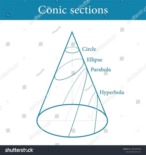 Types Conic Sections Circle Ellipse Parabola Stock Vector Royalty Free