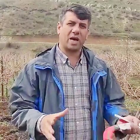 اندر مزایای سیستم داربستی انگور