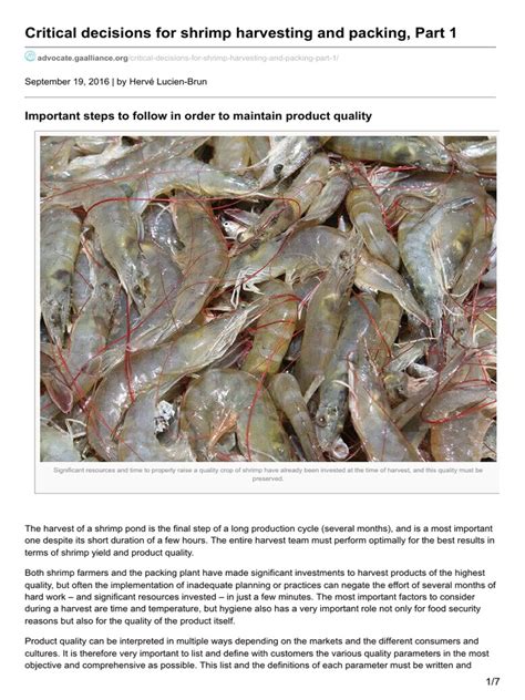 Critical Decisions For Shrimp Harvesting And Packing Part 1 Pdf