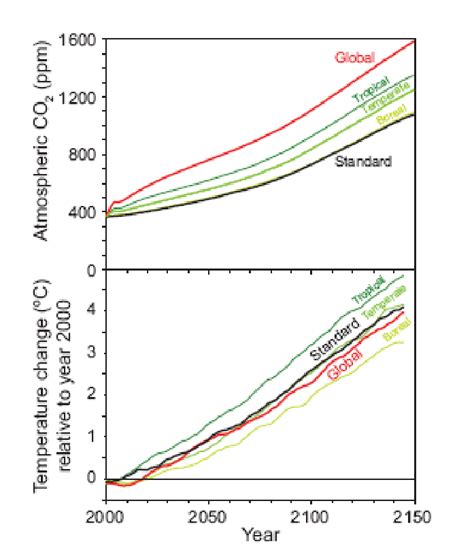 Simulated Temporal Evolution Of Atmospheric Co 2 Upper And 10 Year Download Scientific