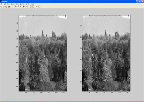 Image Processing Downsampling Giassa Net