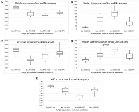 X Axis Shows Fungal Groups Species Similar To Either S Cerevisiae Or