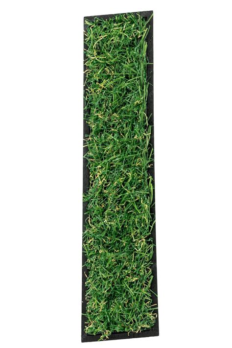 Free Photo Letter I Made Of Green Grass Isolated On White