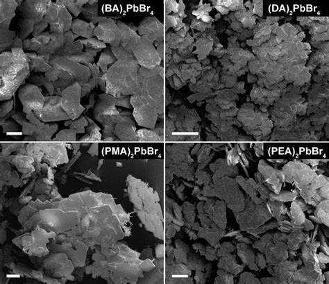 5 Sem Images Acquired From The As Synthesized 2d Rplps Using Different