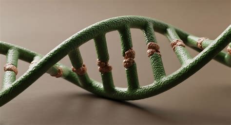 Environmental Legacy Burden → Term