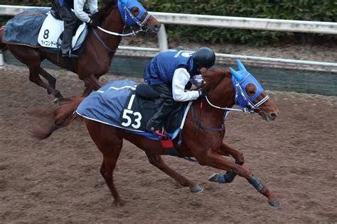 【スプリングs】ウォーターリヒト好調維持 体絞れ少しずつトモに力つきさあ重賞制覇へ スポニチ競馬web