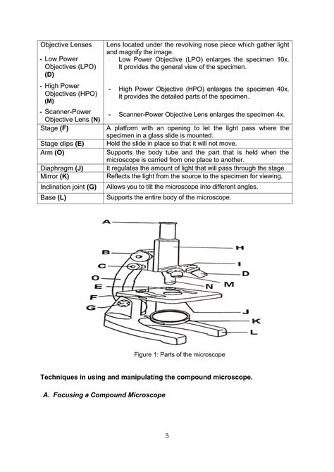 1 Grade 7 Q2 Module 1 Parts And Functions Of The Compound Microscope And Its Manipulation 2nd