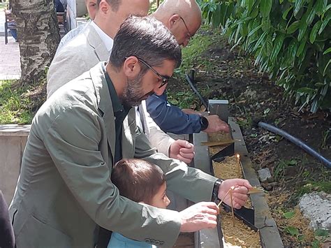 თელავის მუნიციპალიტეტის საკრებულო