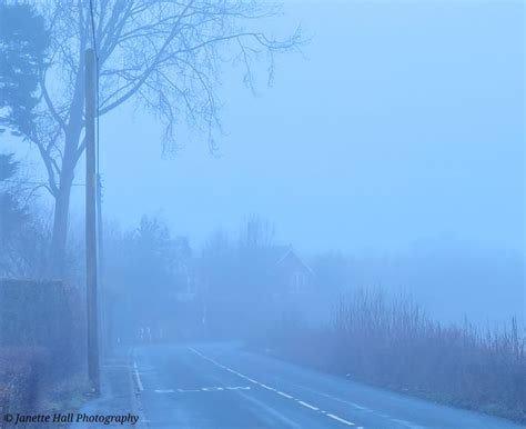Janette Hall On Linkedin Farmers Fields Cold Preston Trees Tree