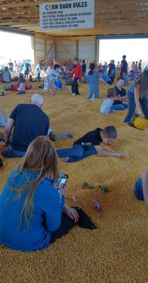 Создать мем M Farms зерна пшеницы бахча Картинки Meme