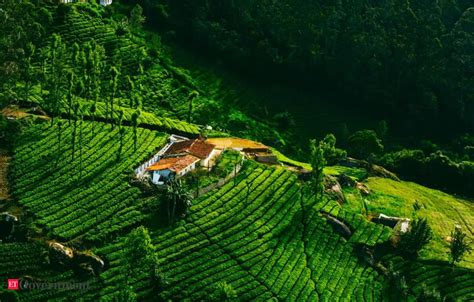 Tn Govt Introduces E Pass For Tourists Visiting Nilgiris Ooty