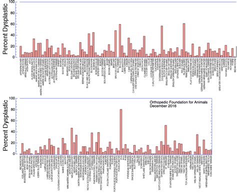 Latest Ofa Statistics For Hip Dysplasia Dec 2016 The Institute Of
