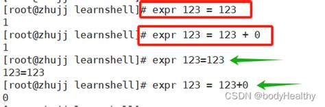 Linux 学习笔记（3） —— Shell 批处理脚本以及字符串的处理linux 批处理 Csdn博客