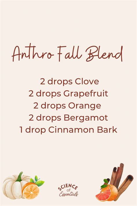 What Are Essential Oils Artofit