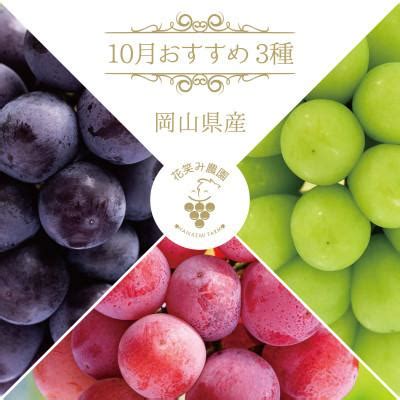 ふるさと納税 真庭市 岡山県産花笑み農園のブドウ10月おすすめ3種約2kg 3房 3M 2L10月順次発送 さとふる
