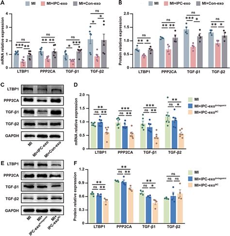 Ischemic Preconditioning Induced Serum Exosomal Mir 133a 3p Improved P