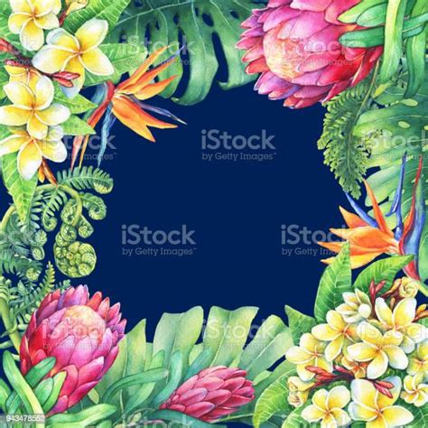 보라색 가지 Protea 꽃 Plumeria Strelitzia와 열 대 식물 프레임 광장 핸드 블루 바탕에 수채화 그림을 그려