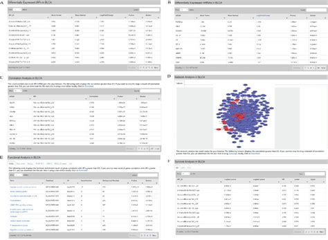 Cancer Functions A Differentially Expressed 3ʹu Trfs In Blca B