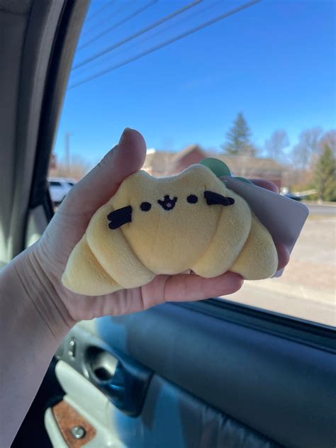 Smol Stupid Expensive For Such A Small Plush But My Collection Needed Her R Pusheen