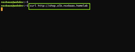 Securing Traffic Between Antrea Pods And Vms With Vmware Nsx 41 Nsxbaas