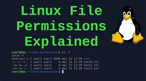 Ivan Jakimovski On Linkedin Linux File Permissions Explained