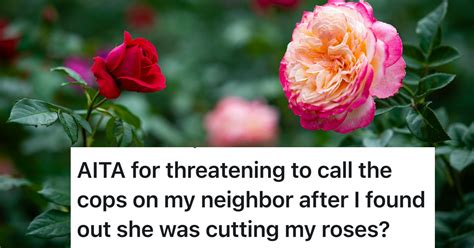 New Neighbor Is Allergic To A Homeowners Prized Roses And The Plant