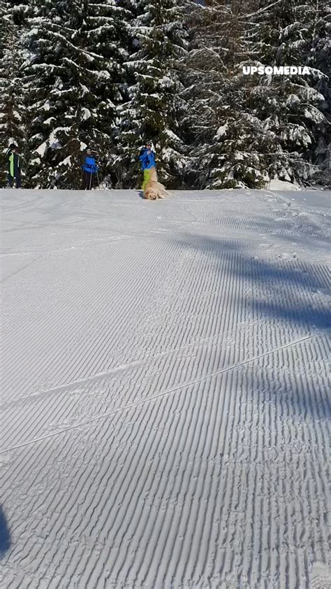 자기가 낳은 아들의 아버지가 자신의 불임 남편이라고 주장하는 여자 한 여성이 3달 전에 낳은 아기의 아버지가 자기 남편이라며 소송을 걸었습니다 남편은 20년도 전에