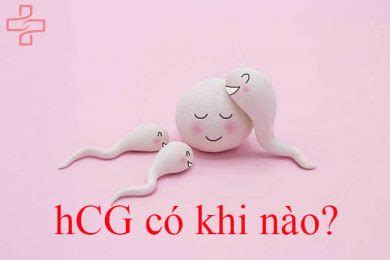 Beta Hcg L G Li N Quan G N Tu I Thai M B U C N Bi T
